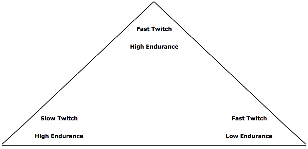 Neeld Muscle Fiber Continuum Theory – Kevin Neeld
